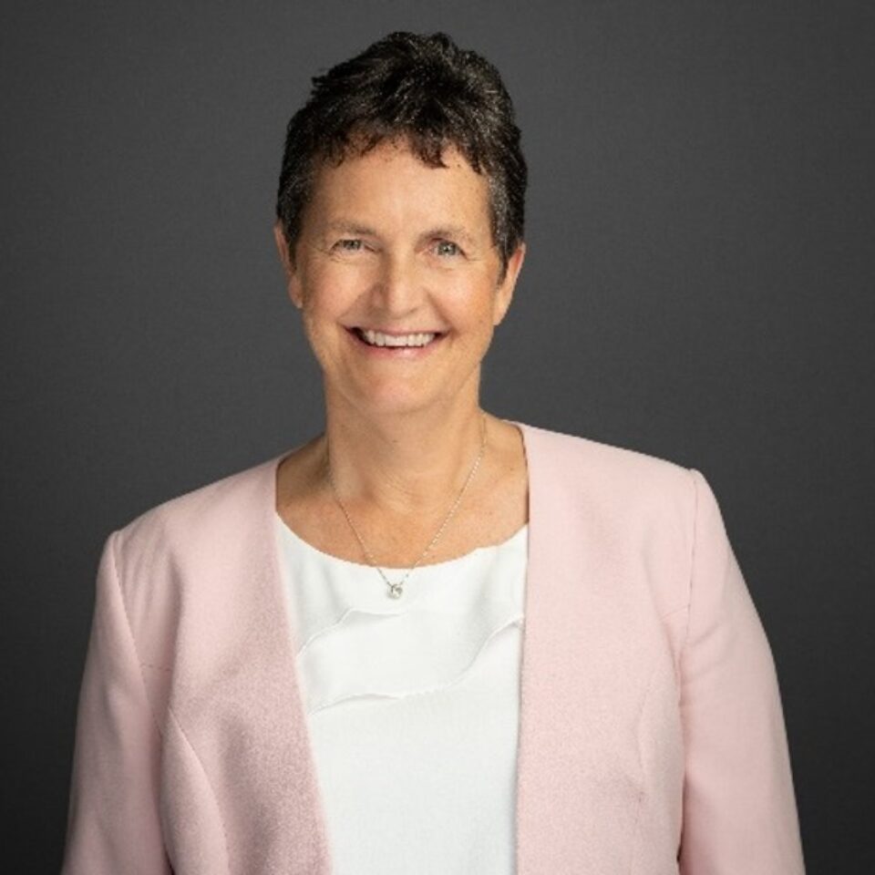 Assessing delivery confidence of digital projects - John Grill ...